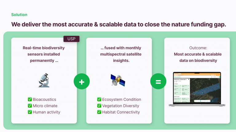 Biodiversity Monitoring with Satellites and IoT Sensors – INNOspace Masters